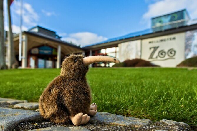 Wellington Coastal Self Drive Tour with an APP - FAQs