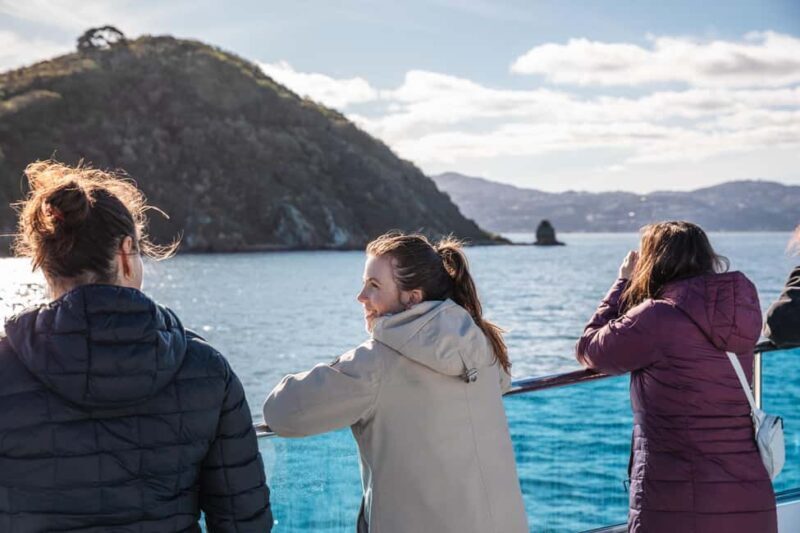 Wellington: Commentated Harbour Explorer tour - Practical Details & Tips for Travelers