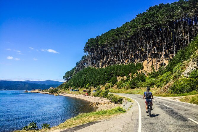 Wellington Electric Bike Rental - The Logistics: Convenience and Central Access