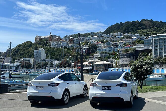 Wellington Full Day Private Tour in Electric Tesla SUV - FAQ