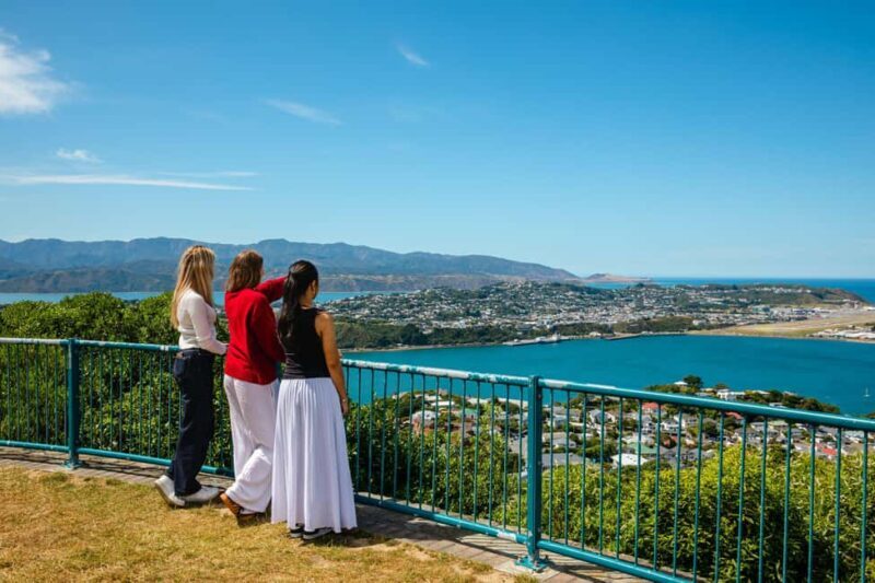 Wellington: Guided City Tour with Cable Car Ticket - Who Will Love This Tour?
