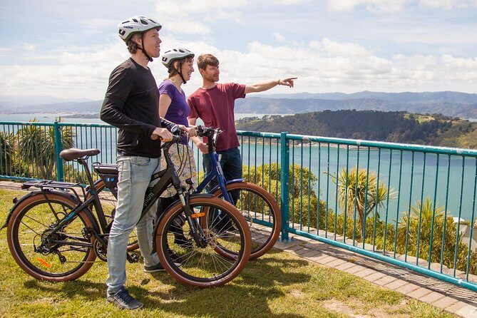 Wellington Guided eBike Tour-Cruise Shore Excursion - The Experience: An In-Depth Look at the Wellington Guided eBike Tour