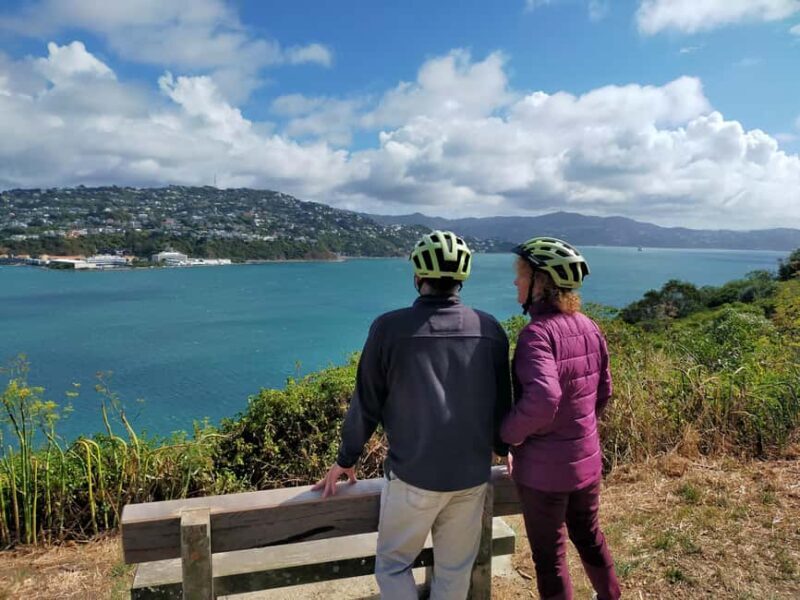 Wellington: Guided Sightseeing Tour by Electric Bike - Is This Tour Right for You?