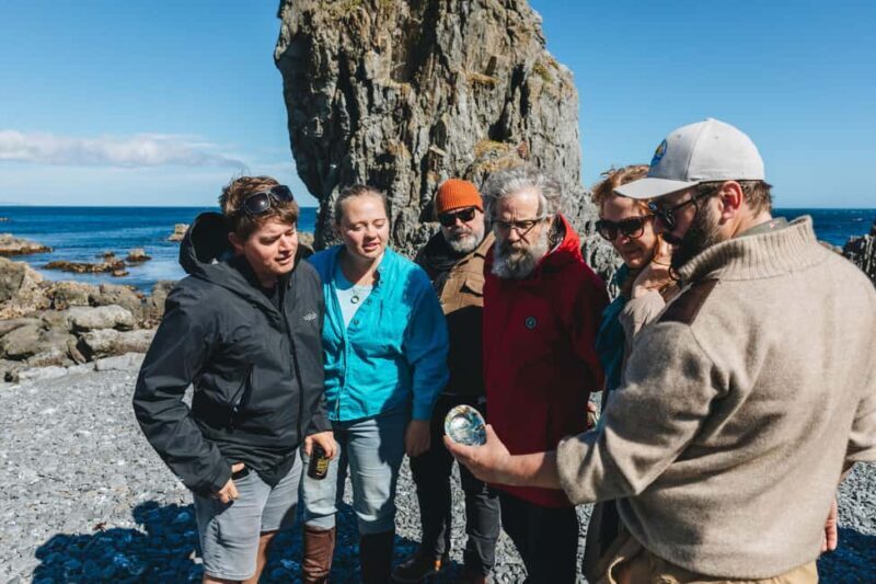 Wellington: Half Day Seal Coast Safari - An In-Depth Look at the Seal Coast Safari