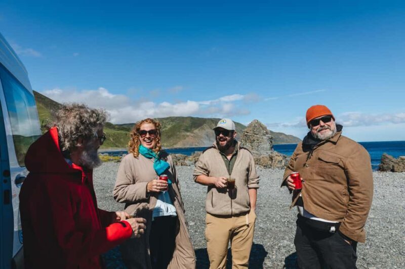 Wellington: Half Day Seal Coast Safari - Who Should Consider This Tour?