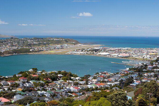 Wellington Heritage Explorer - Old St Paul’s: A Testament to Timbercraft and Faith