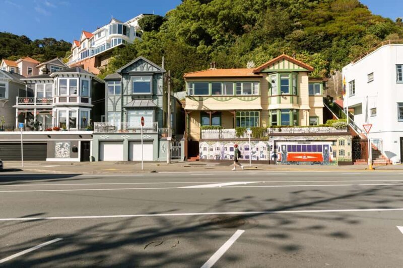 Wellington: Highlights Tour with a Local Guide - A Practical Overview of the Tour
