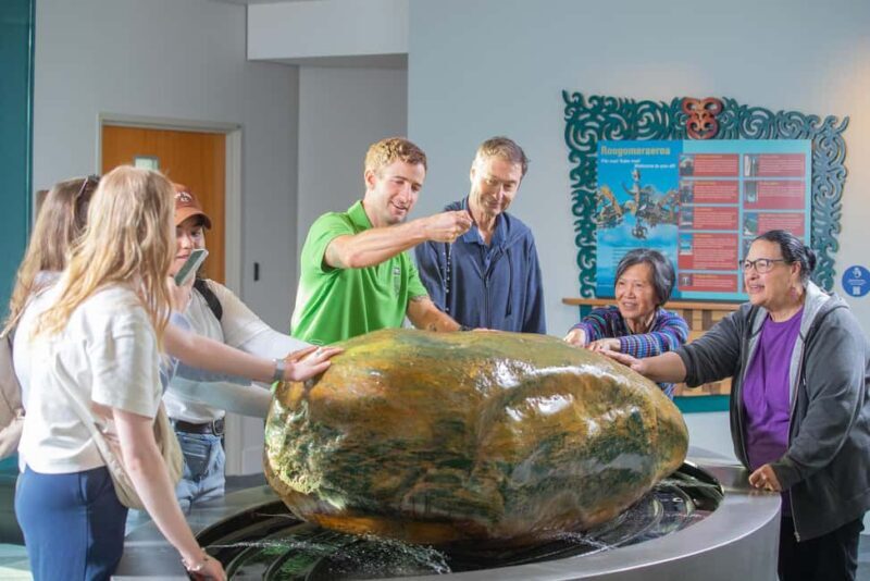 Wellington: Museum of NZ General Admission - Insights from Visitors Reviews