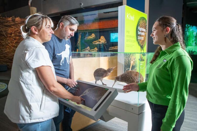 Wellington: Museum of NZ Intro Tour & General Admission - Exploring Te Papa in Just an Hour? Yes, and More