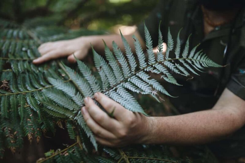 Wellington: Original LOTR Full-Day Tour with Weta & Lunch - Practical Considerations