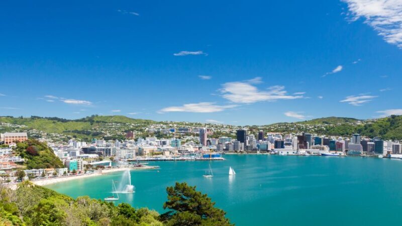 Wellington: Original LOTR Half-Day Experience with Weta - An Overview of This Middle-earth Adventure