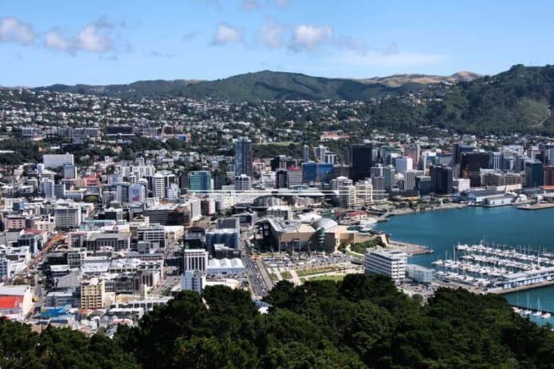 Wellington: Private custom tour with a local guide - Why a Private Guide Enhances Your Wellington Visit