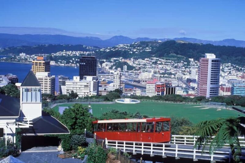 Wellington: Private custom tour with a local guide - The Value of a Knowledgeable Guide
