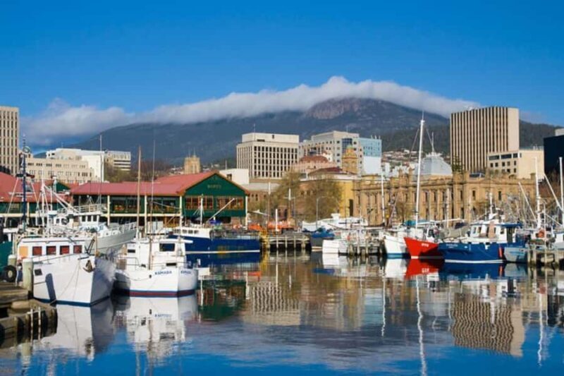 Wellington: Private custom tour with a local guide - Final Thoughts: Is It Worth It?