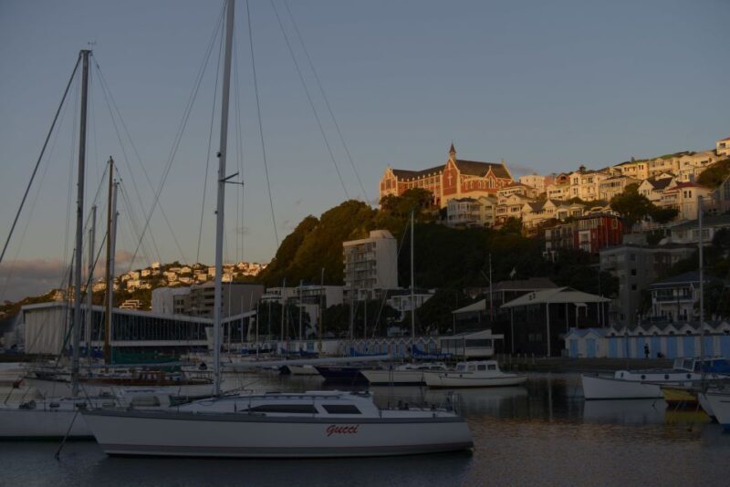 Wellington: Private Day Tour with Lunch - Things to Keep in Mind