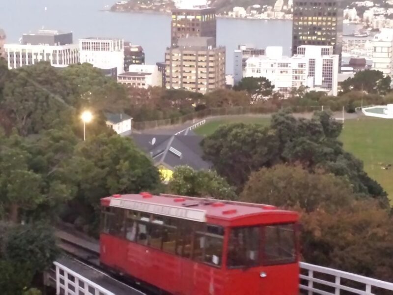 Wellington: Private Day Tour with Lunch - FAQ: Common Questions About This Tour