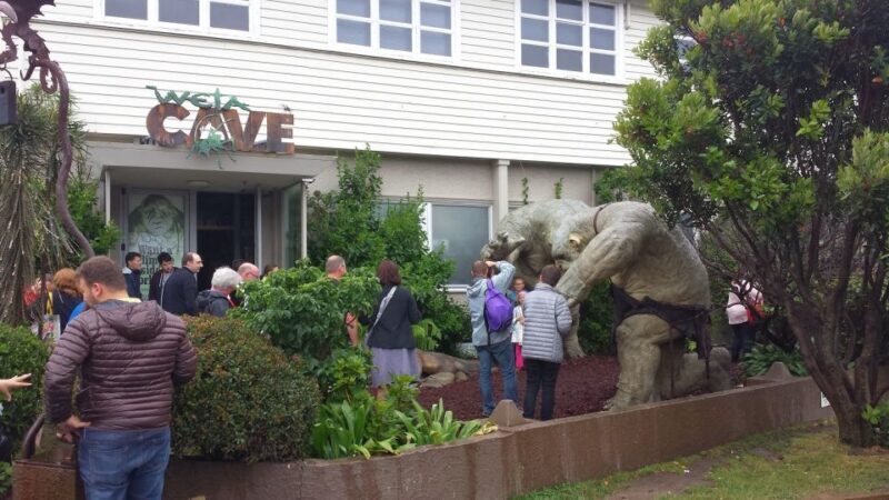 Wellington: Private Day Tour with Lunch - Final Thoughts: Who Will Benefit Most from This Tour?
