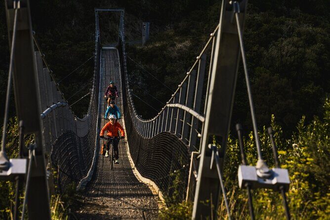 Wellington Remutaka Rail Trail eBike Cycle Tour - What Makes This Tour Stand Out?