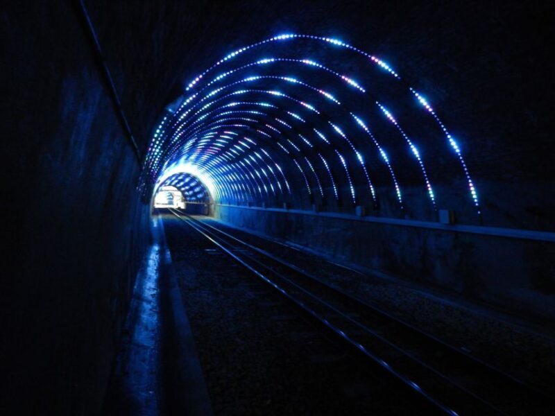 Wellington: Return Cable Car Ticket - The Top Station: More Than Just a Viewpoint