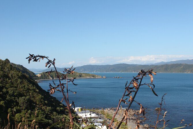 Wellington Scenic Full Day Tour - What Makes This Tour Stand Out