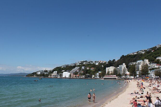 Wellington Scenic Full Day Tour - FAQ