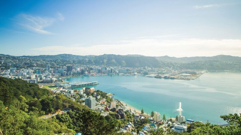 Wellington: Scenic Harbour Helicopter Flight - The Route and Its Highlights