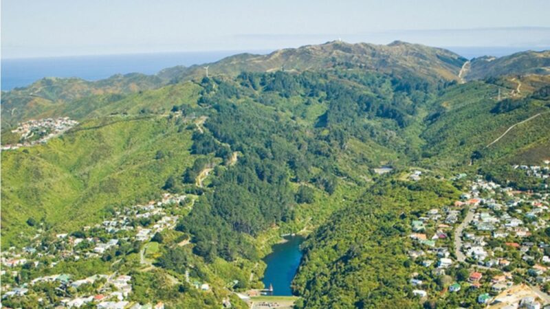 Wellington: Scenic Harbour Helicopter Flight - The Authenticity and Practicalities