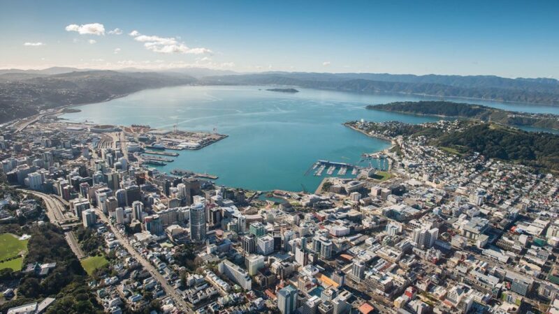 Wellington: Scenic Harbour Helicopter Flight - What Reviewers Say