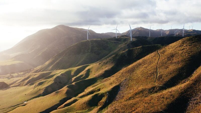 Wellington: Scenic South Coast Discovery Helicopter Flight - Why a Helicopter Flight Over Wellington Is Worth Considering