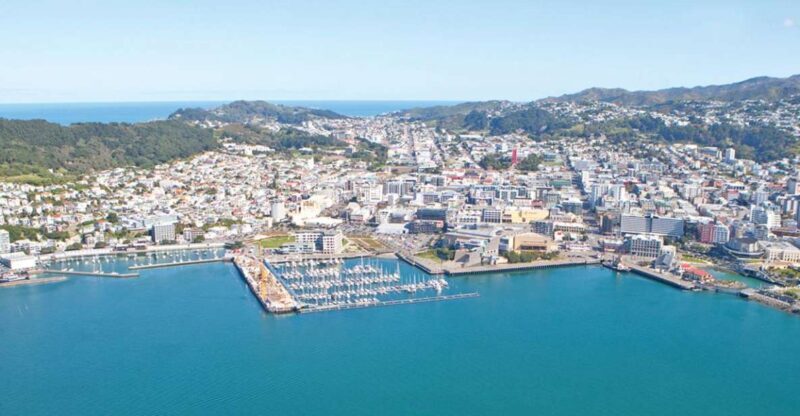 Wellington: Scenic South Coast Discovery Helicopter Flight - What the Reviews Say