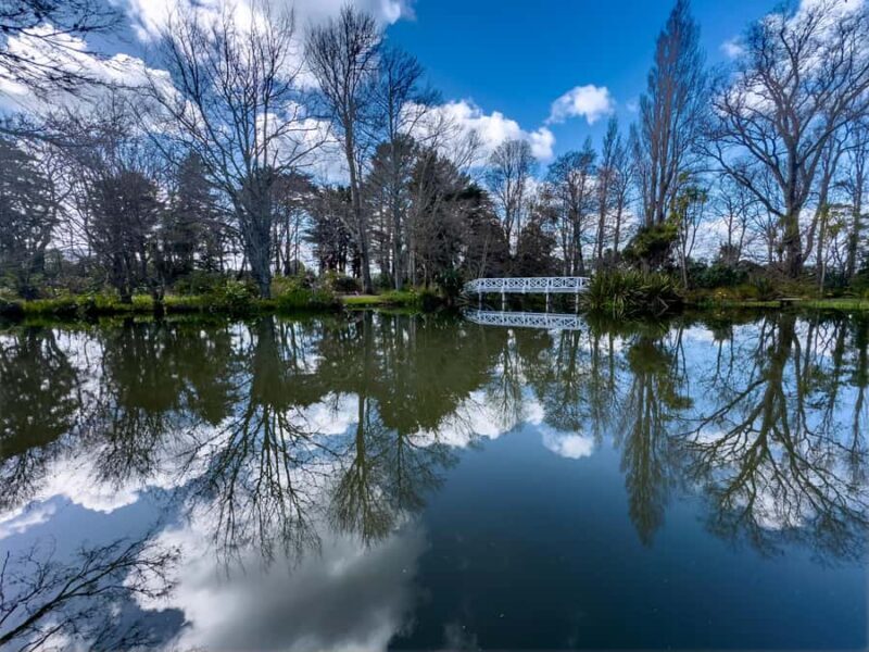 Wellington: Secret Realms of Middle-earth - Lothlorien - An In-Depth Look at the Tour