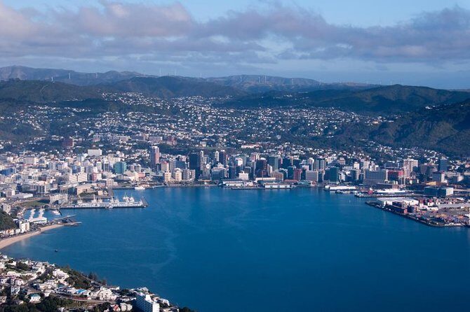 Wellington Shore Excursion City Sightseeing Tour - Who Will Love This Tour?