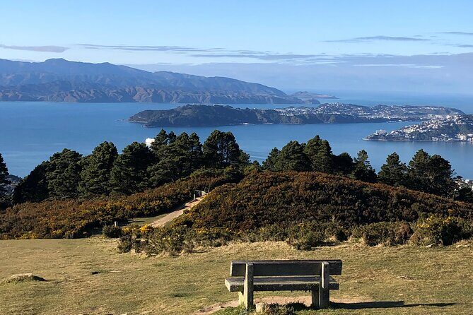 Wellington: Wild Skyline Guided Hiking Tour, Transfers + Lunch - Exploring Wellington on Foot: A Comprehensive Look at the Wild Skyline Guided Hiking Tour