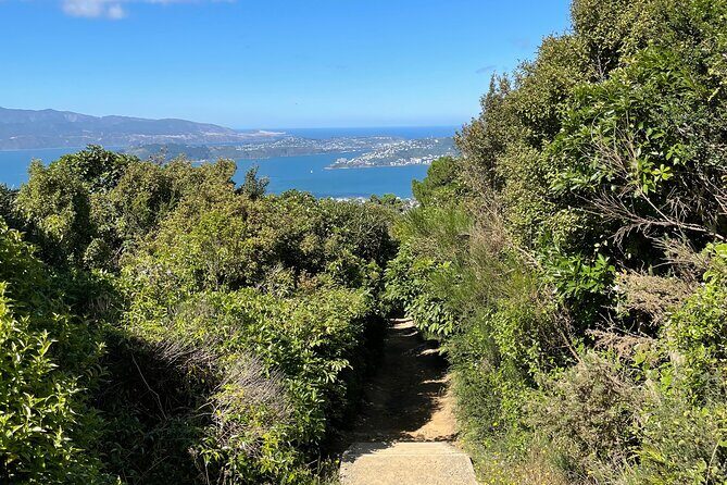 Wellington: Wild Skyline Guided Hiking Tour, Transfers + Lunch - Key Points