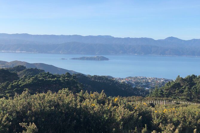 Wellington: Wild Skyline Guided Hiking Tour, Transfers + Lunch - Authentic Experiences and Real Traveler Feedback