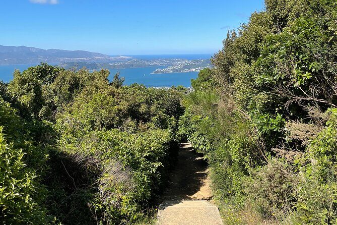 Wellington: Wild Skyline Guided Hiking Tour, Transfers + Lunch - Who Will Love This Tour?