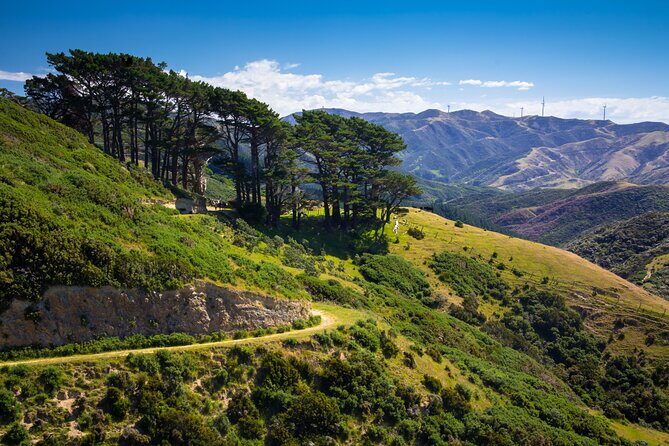 Wellington: Wild Skyline Guided Hiking Tour, Transfers + Lunch - The Sum Up