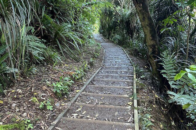 Wellington: Wild Skyline Guided Hiking Tour, Transfers + Lunch - FAQ