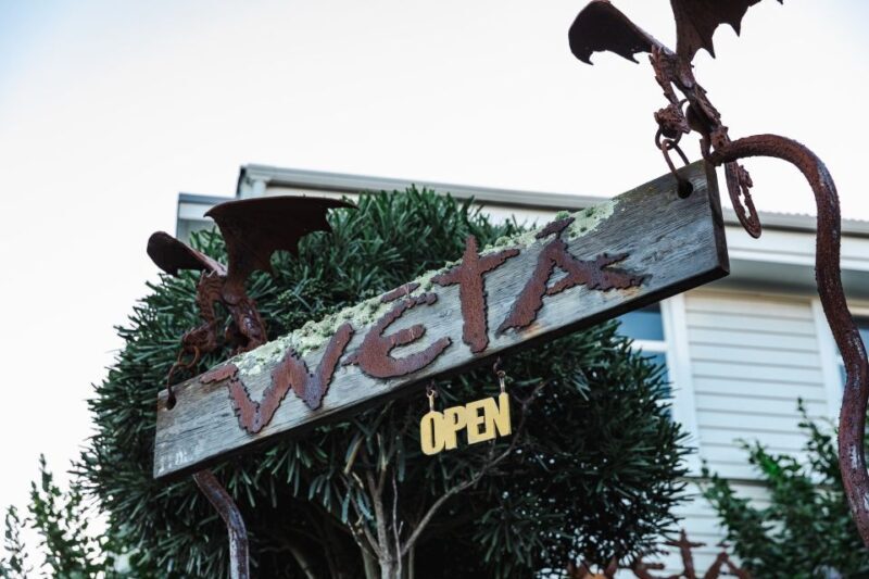 Wellington: Wt Workshop Guided Tour Ticket - Who Should Consider This Tour?