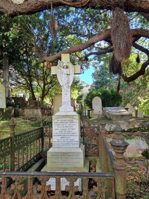 Wellington's Historical Walking Odyssey - An In-Depth Look at Wellingtons Historical Walking Odyssey