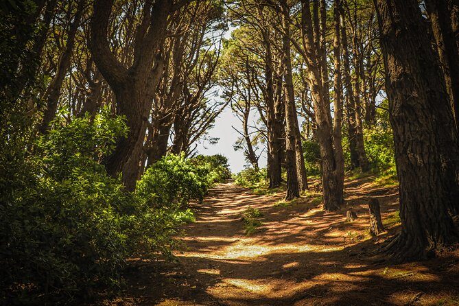 Wellington's Original HD LOTR Experience - includes Weta Tour - FAQ