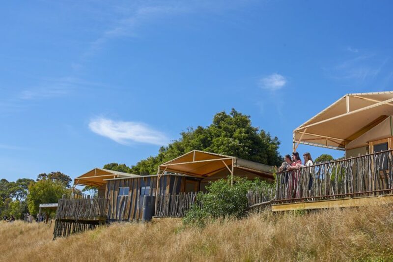 Werribee Open Range Zoo: Entry Ticket - Keeper Talks and Educational Opportunities