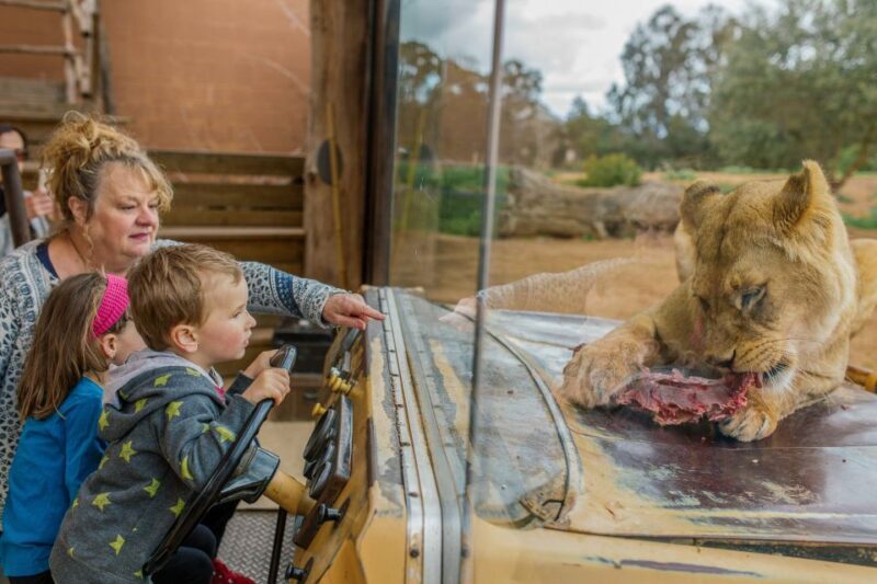 Werribee Open Range Zoo: Entry Ticket - FAQs