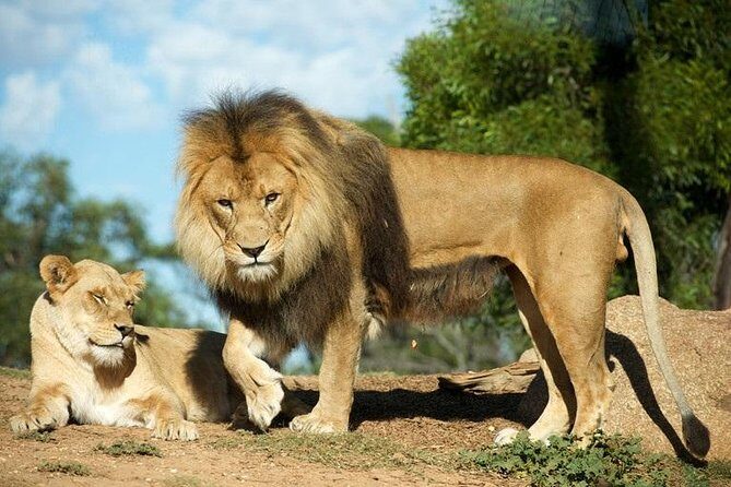 Werribee Open Range Zoo General Admission Ticket - Family-Friendly Activities and Facilities