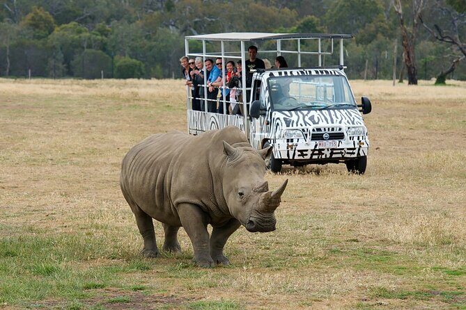 Werribee Zoo & Werribee Mansion Tour - An Attractive Day Trip Near Melbourne