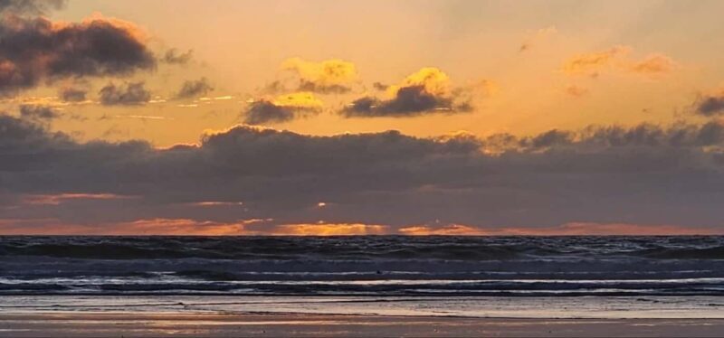 West Auckland: Sunset with Thermal pool & Wine Tasting - Who Should Consider This Tour?
