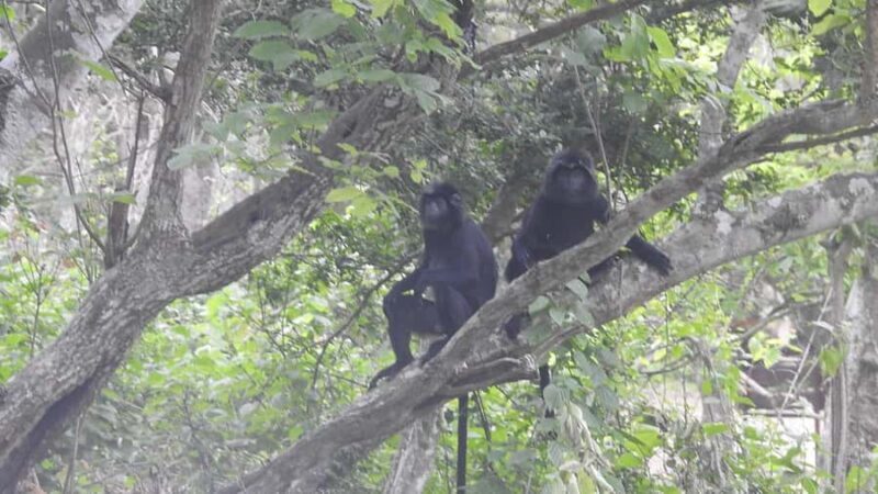 West Bali: Jungle Trekking in Bali Barat National Park - An Honest Look at the Jungle Trekking Experience