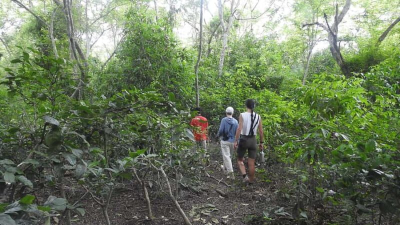 West Bali: Jungle Trekking in Bali Barat National Park - FAQ