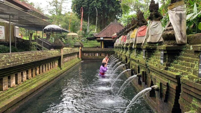 West Bali: Private Blessing Ceremony and Temple Tour - The value in the details