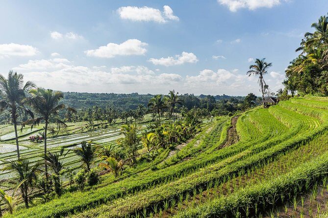West Bali Tour: Taman Ayun, Ulun Danu Beratan, Jatiluwih Rice Terrace, Tanah Lot - The Sum Up: Is It Worth It?